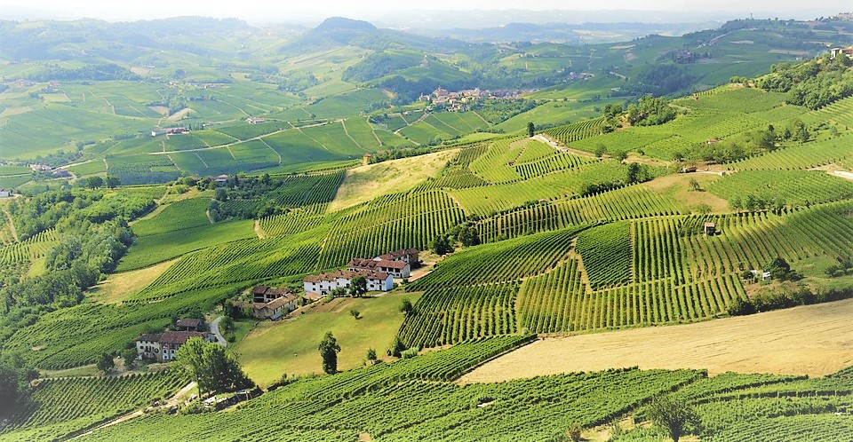 Langhe: panorami castelli storia vino e gastronomia